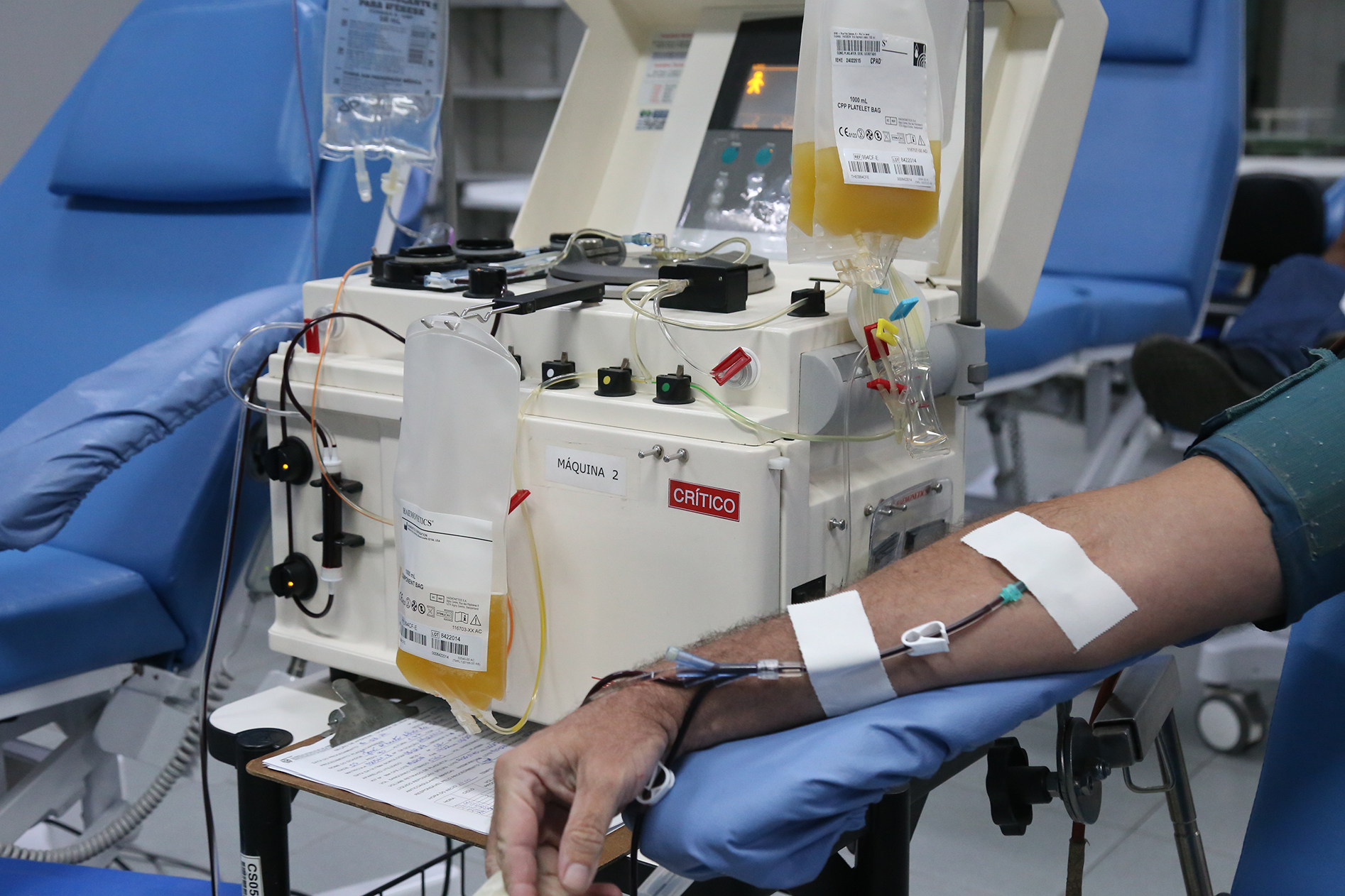 Dengue: Casos graves de dengue fazem o Hemorio lançar campanha para ...